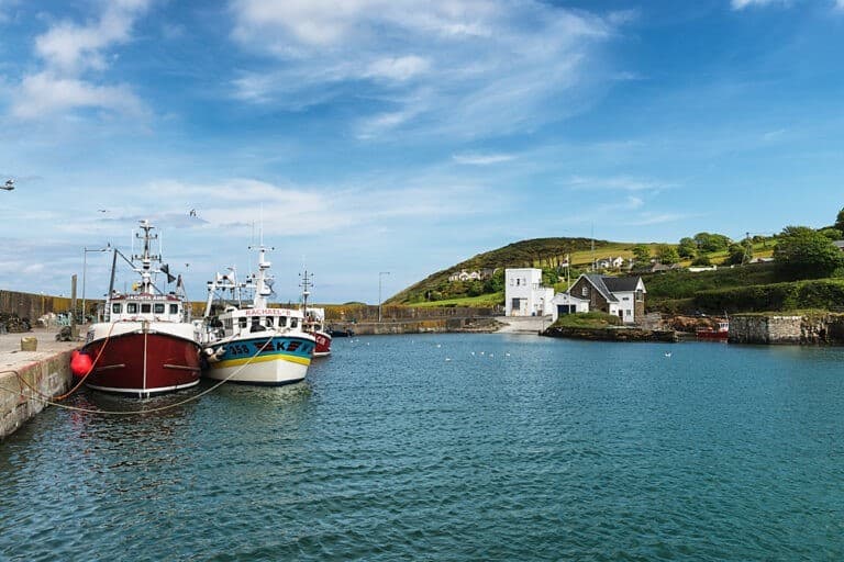Helvick Head - Irland Highlights