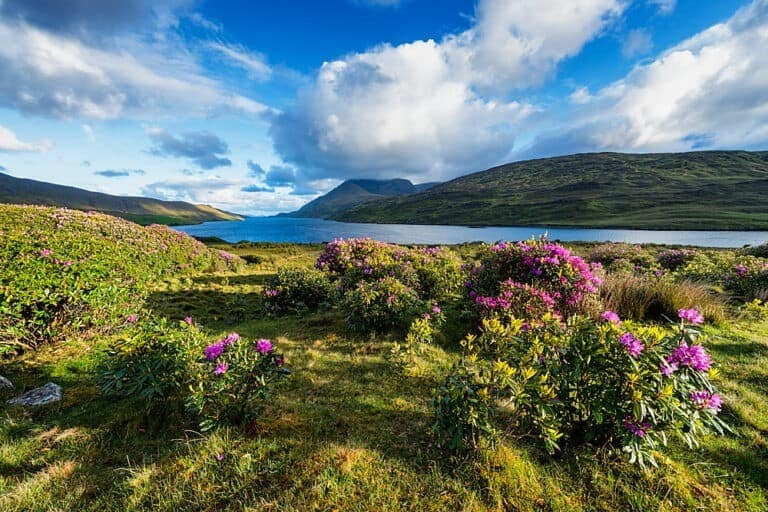 Killary Harbour - Irland Highlights